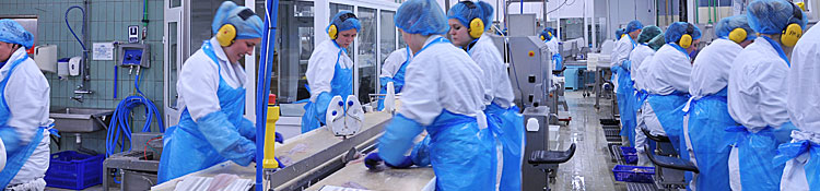 Food Processing Plant